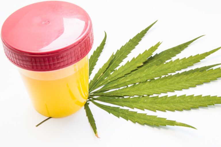 13 Medications That May Cause A False Positive On Drug Tests